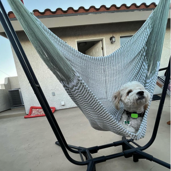 The VISTA™ Portable Hammock – Yellow Leaf Hammocks